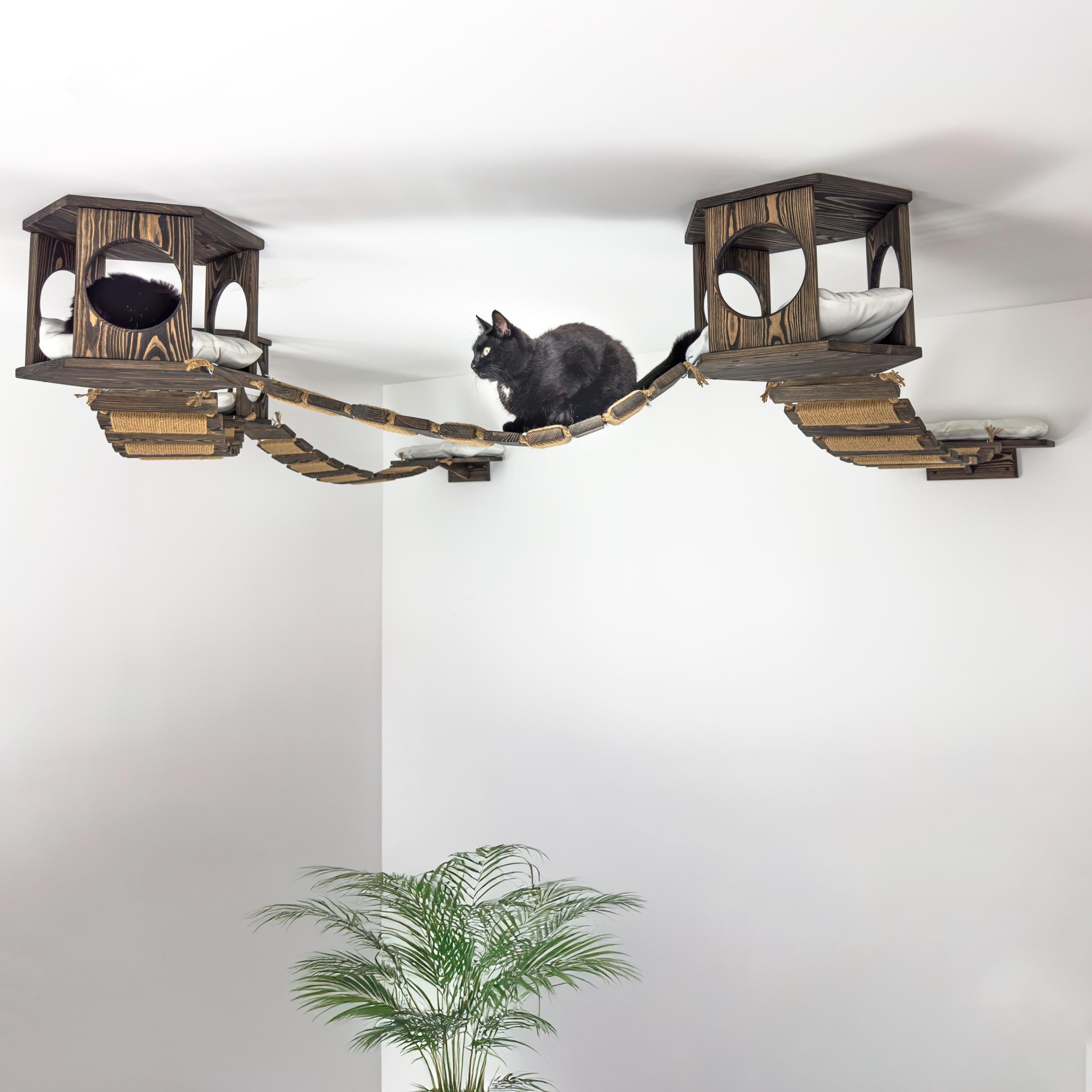 Cat ceiling furniture wooden ceiling mounted set - 3 octagon shelves ...